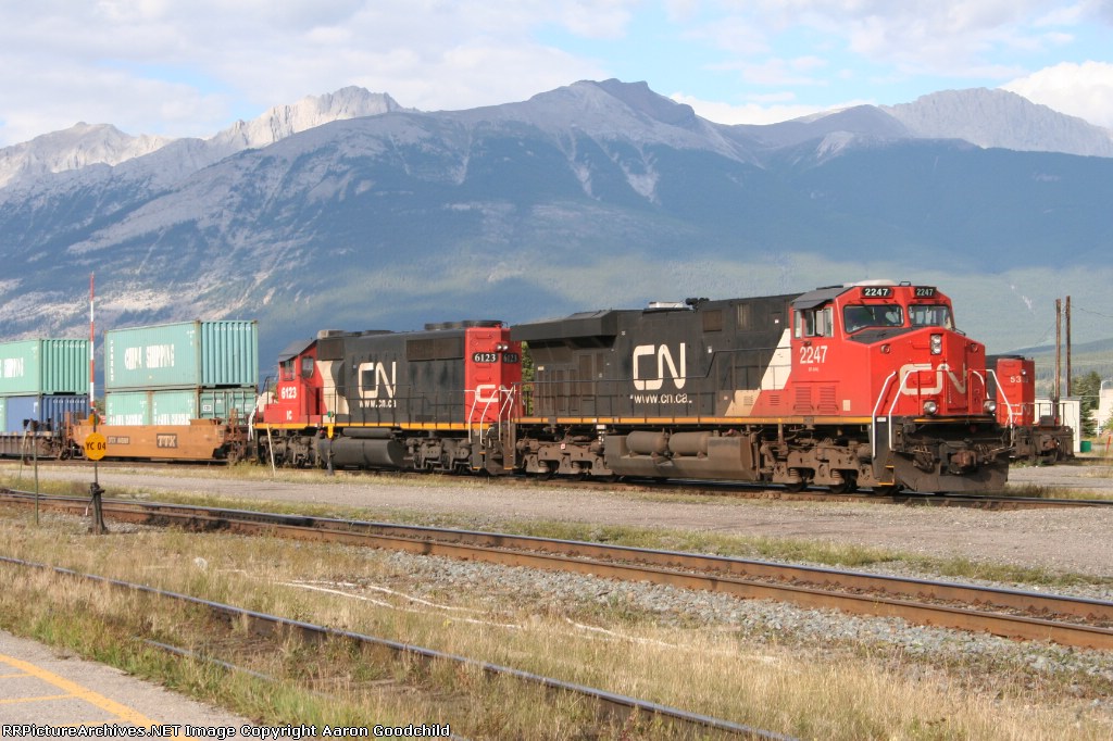 CN 2247